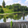 Ponds | Richland Soil & Water