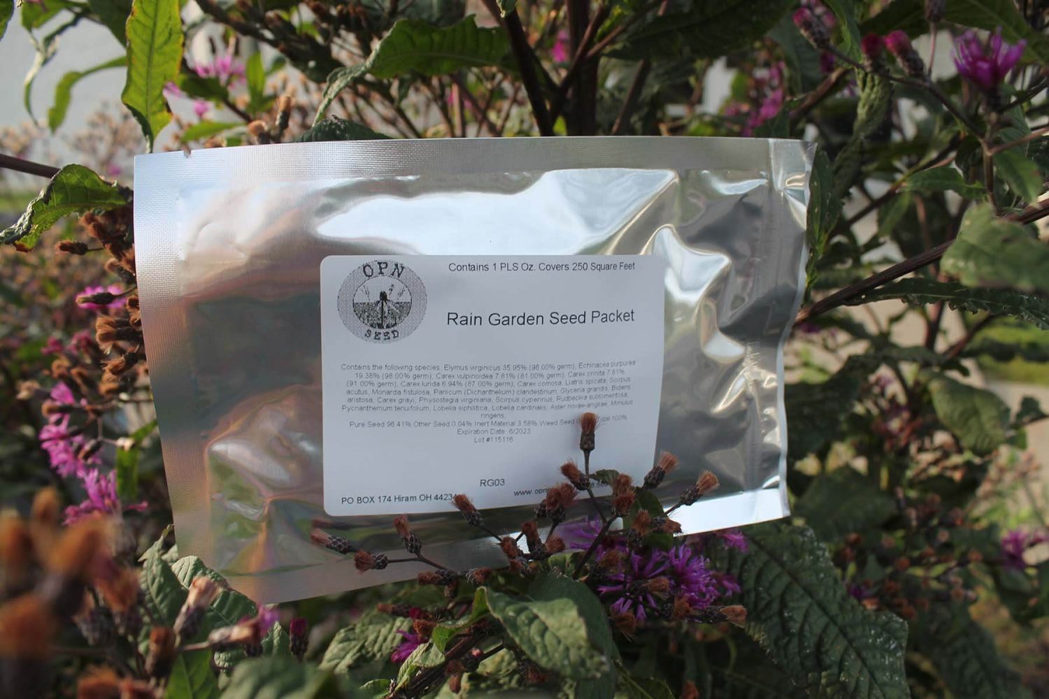 Rain Garden Seed Packet | Richland Soil & Water