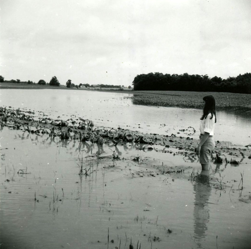 07_05_1969_Bonnie_Mills_observes_corn_underwater_on_Hazel_Brush_Road ...