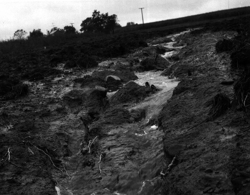 09_14_1979_Pulver_Road_Poffenbaugh_newly_seeded_and_mulched_grassed ...